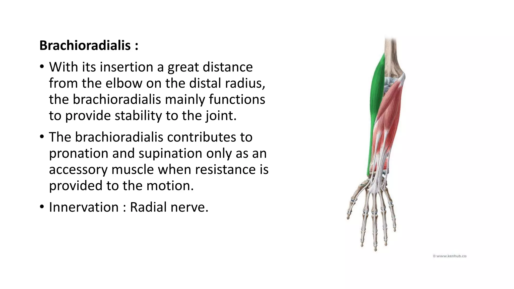 elbow biomechanics and Pathomechanics.pptx