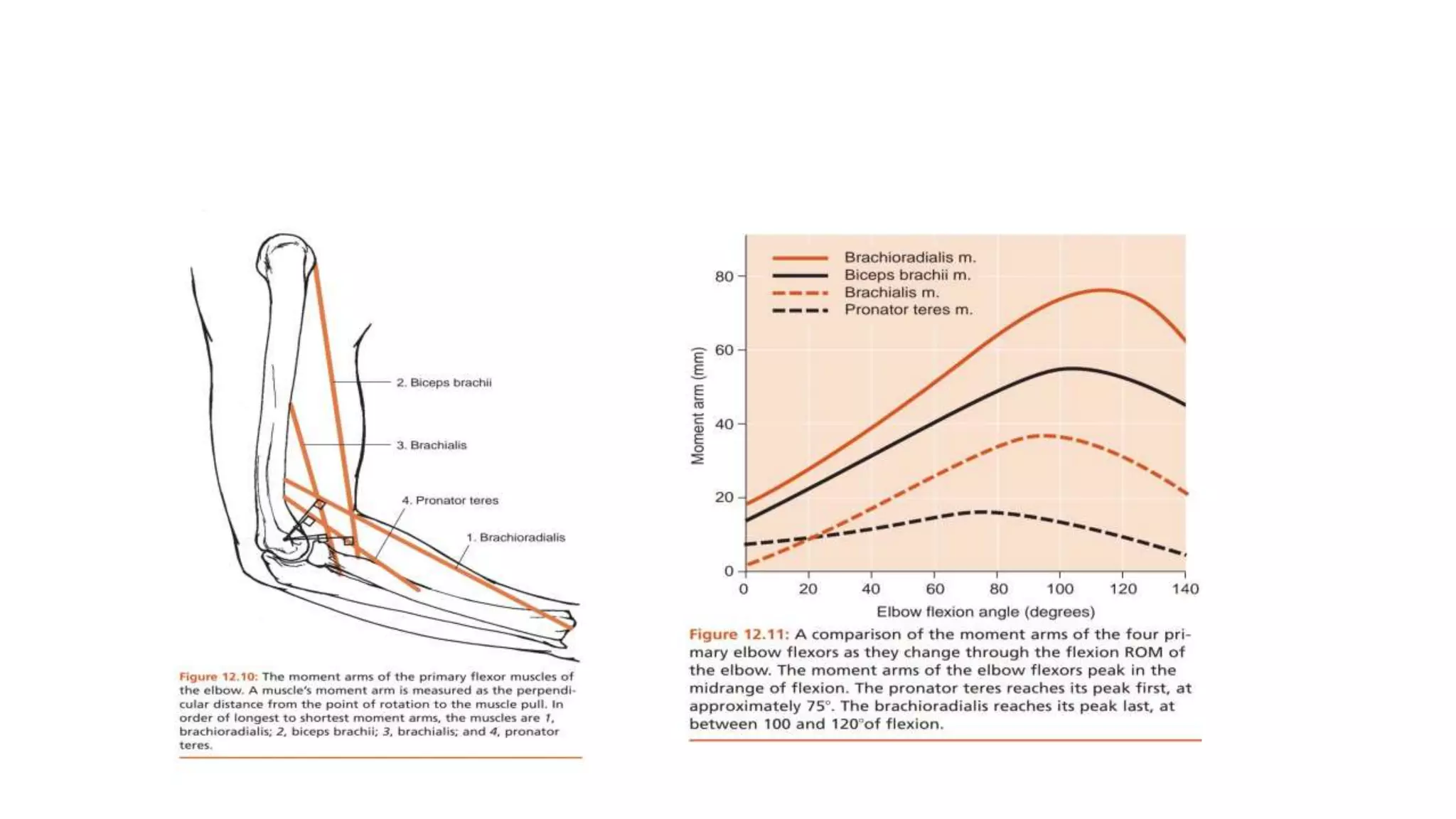 elbow biomechanics and Pathomechanics.pptx