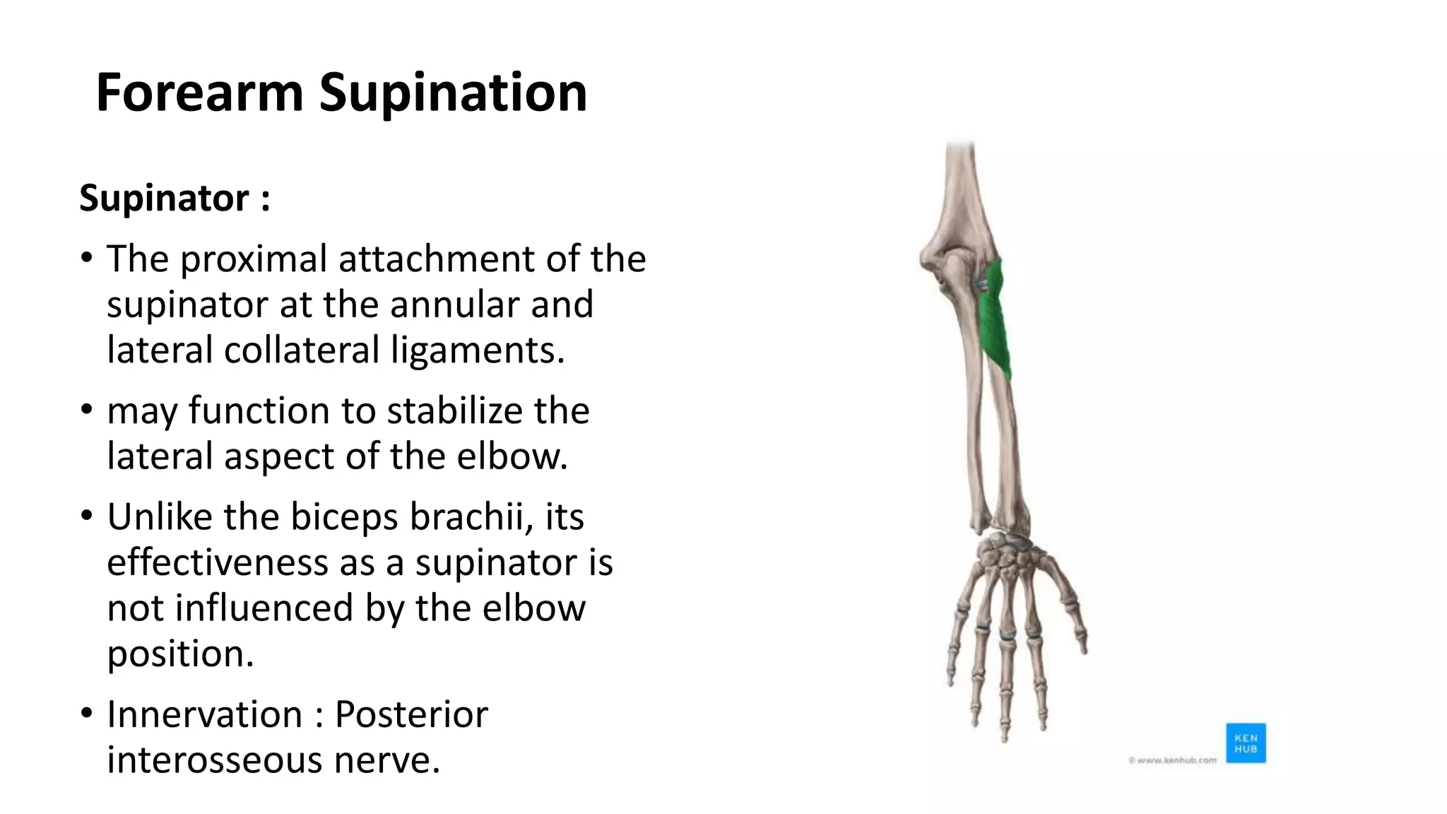 elbow biomechanics and Pathomechanics.pptx