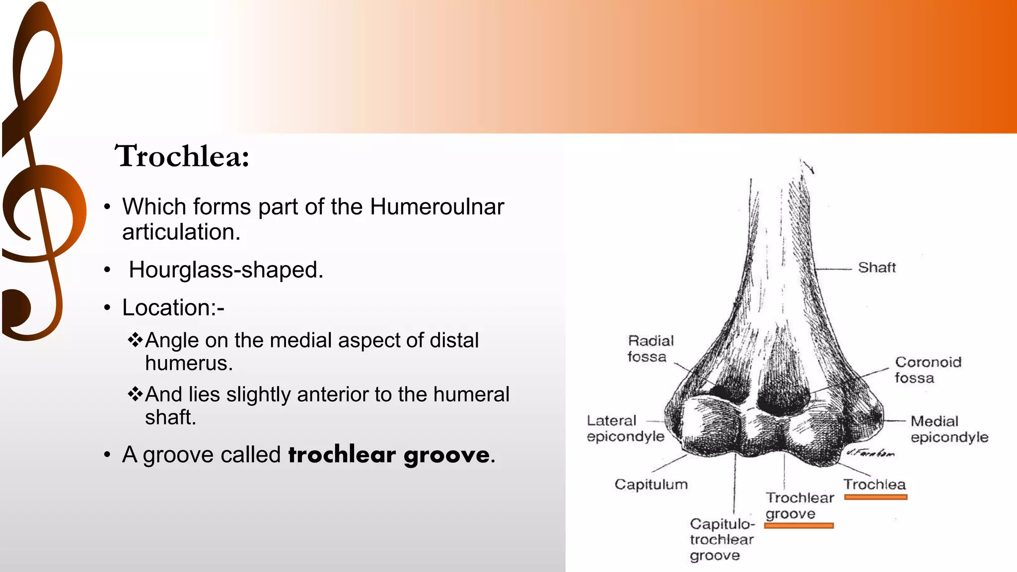 Elbow complex (Biomechanics) | PPTX