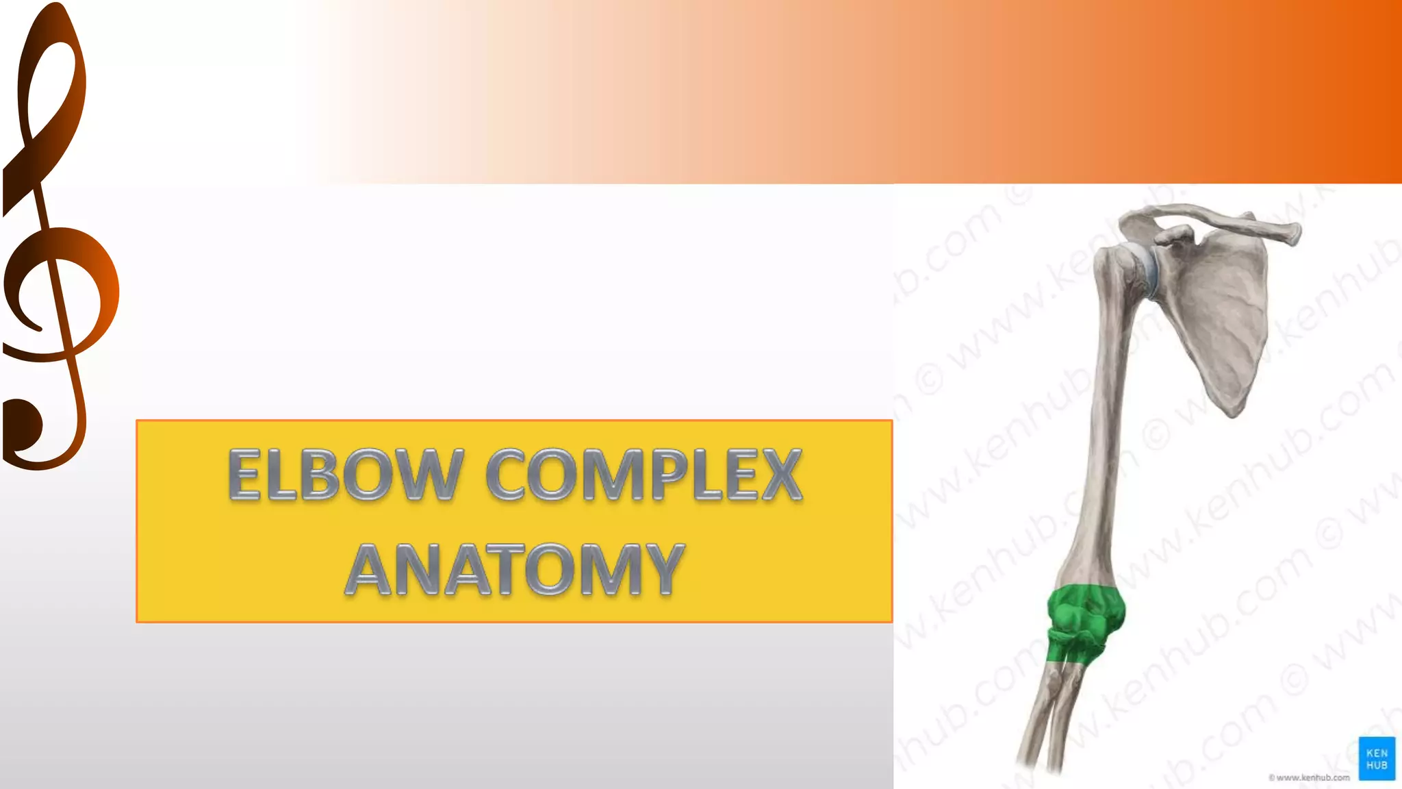 Elbow complex (Biomechanics) | PPTX