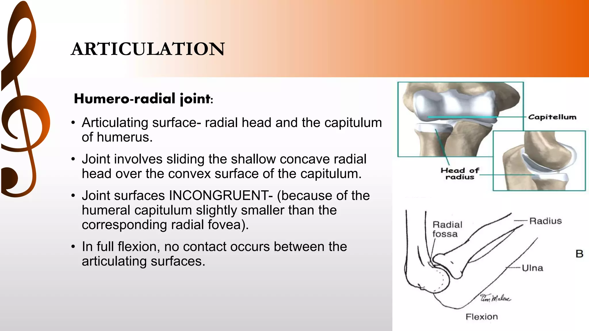 Elbow complex (Biomechanics) | PPTX
