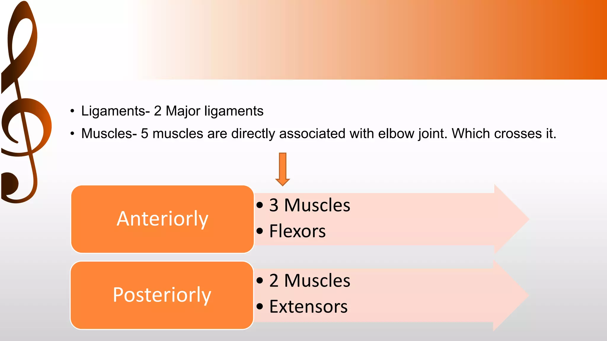 Elbow complex (Biomechanics) | PPTX
