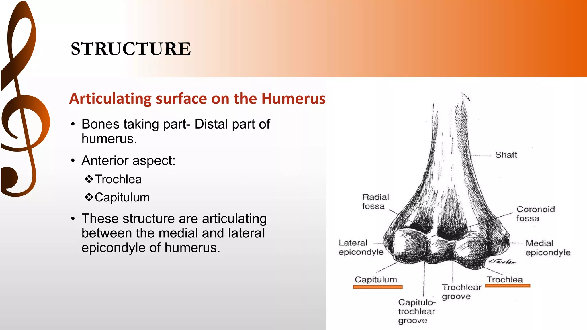 Elbow complex (Biomechanics) | PPTX