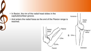 Elbow complex (Biomechanics) | PPTX