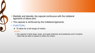 Elbow complex (Biomechanics) | PPTX