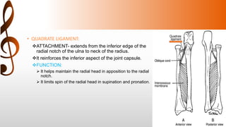 Elbow complex (Biomechanics) | PPTX