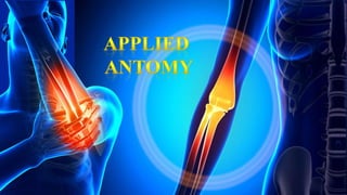 Elbow complex (Biomechanics) | PPTX