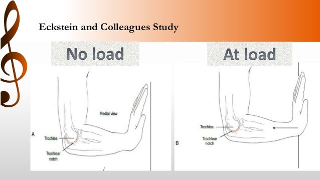 Elbow Joint Motion Mechanism 43 A Elbow Flexion And B