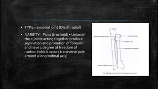 Biomechanics of Elbow complex | PPTX