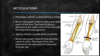 Biomechanics of Elbow complex | PPTX