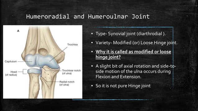 Biomechanics of Elbow complex | PPTX