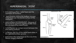 Biomechanics of Elbow complex | PPTX
