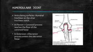 Biomechanics of Elbow complex | PPTX