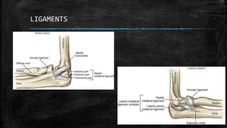 Biomechanics of Elbow complex | PPTX