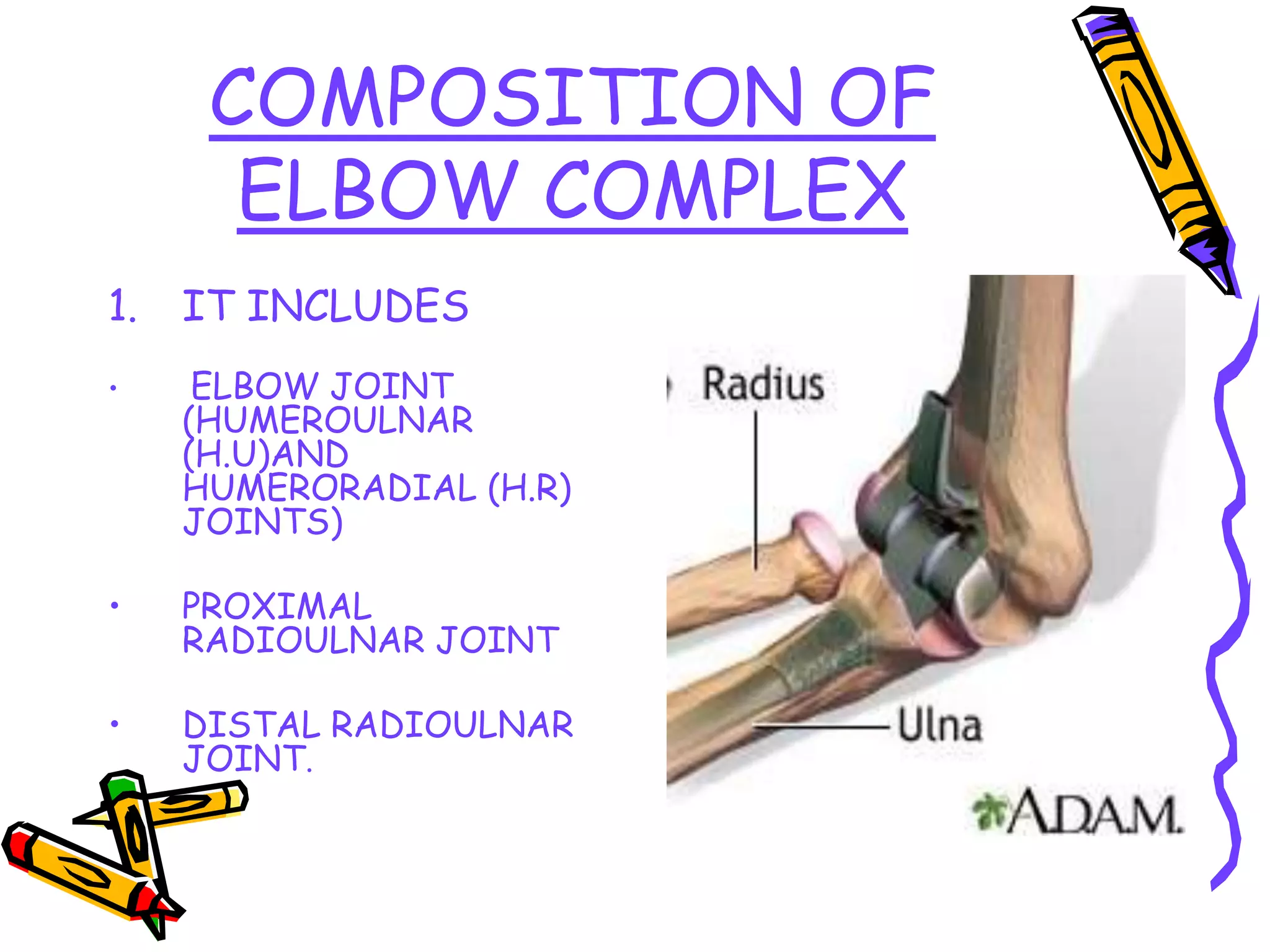 ELBOW COMPLEX.ppt