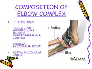 ELBOW COMPLEX.ppt