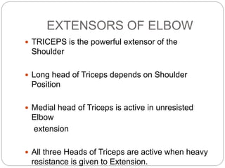 Elbow Complex .ppt