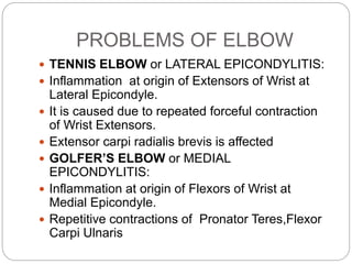 Elbow Complex .ppt