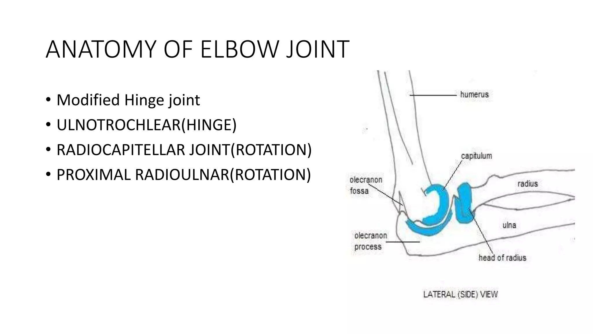 Elbow dislocation | PPTX