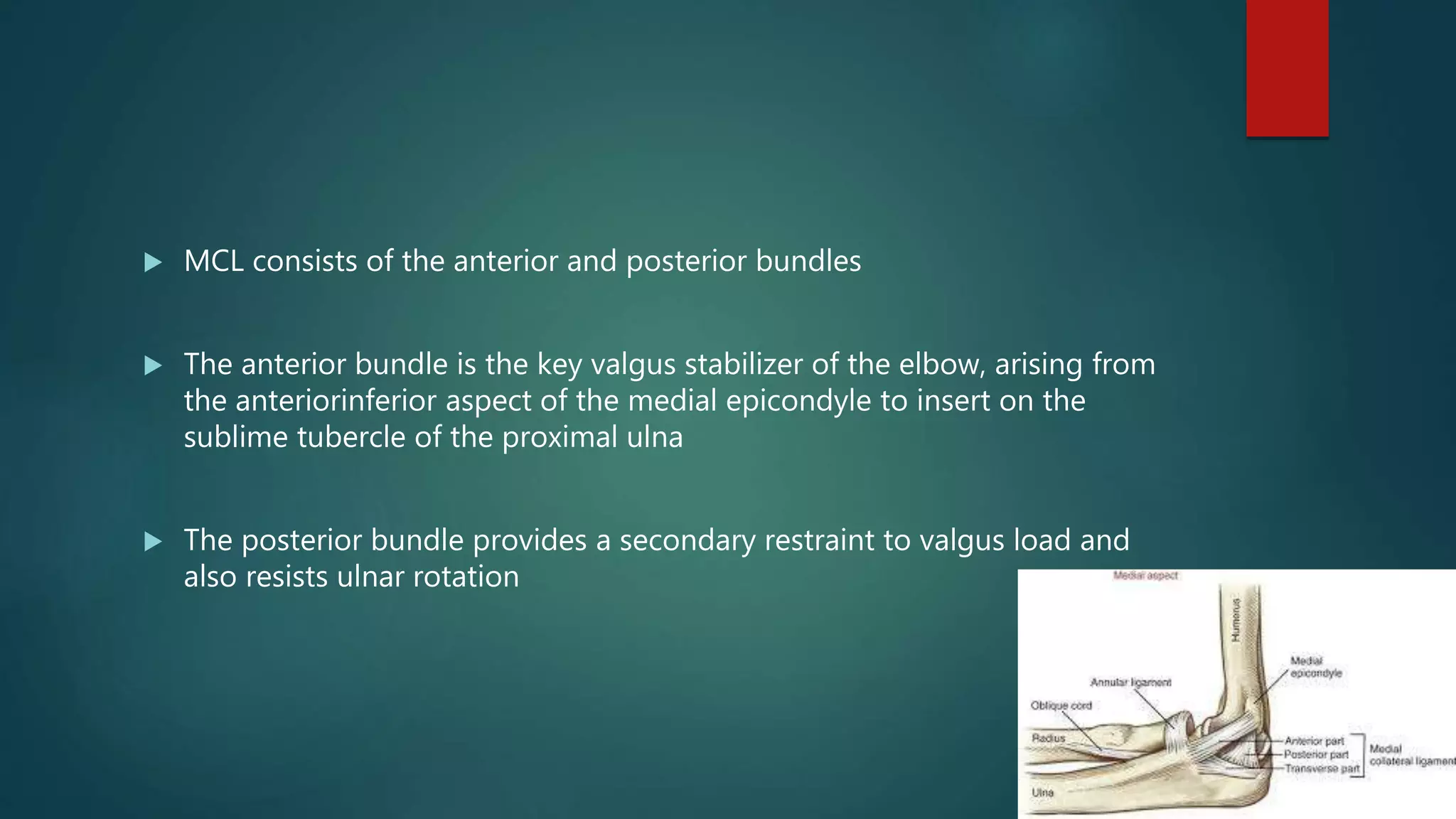 Elbow dislocations | PPTX