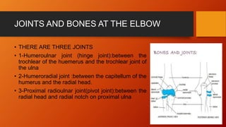 Elbow disorders 5th stage lecture (dr.farouk) | PPTX