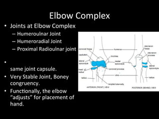 ADVANCED REVIEW AND MANAGEMENT OFElbow Dx and Rx.pdf