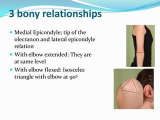 Elbow examination | PDF