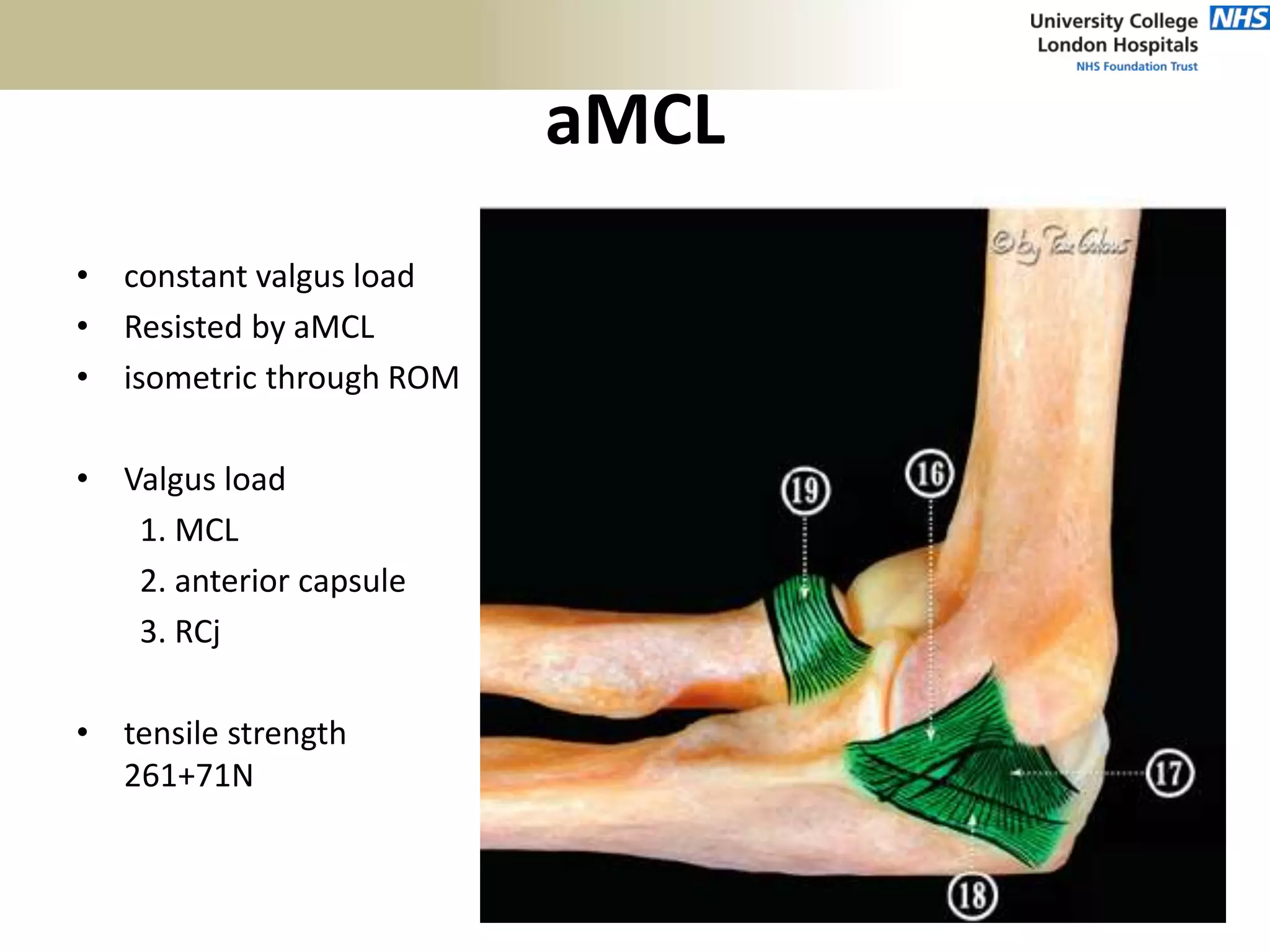 Elbow examination | PPTX