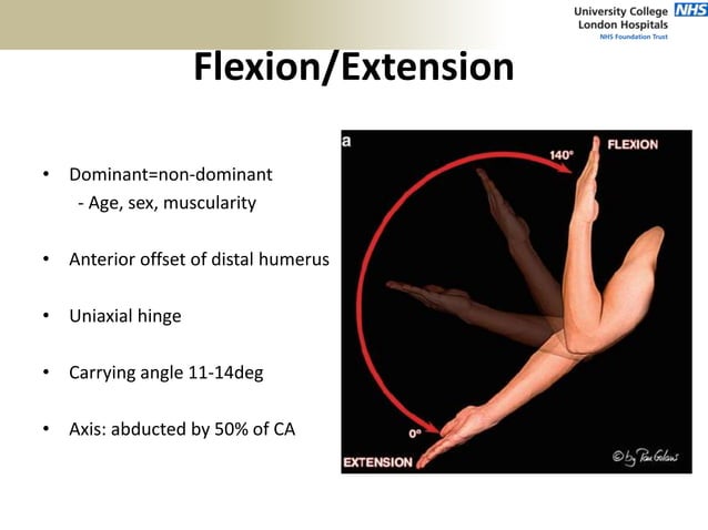 Elbow examination | PPTX