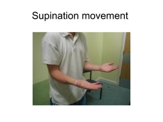Comprehensive Elbow Examination for Acute Fracture Diagnosis and ...