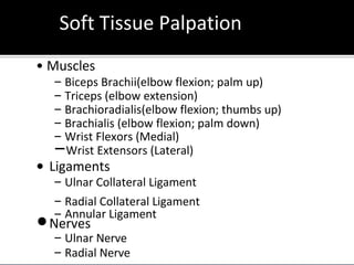 Elbow injuries- Physiotherapy assessment | PPT