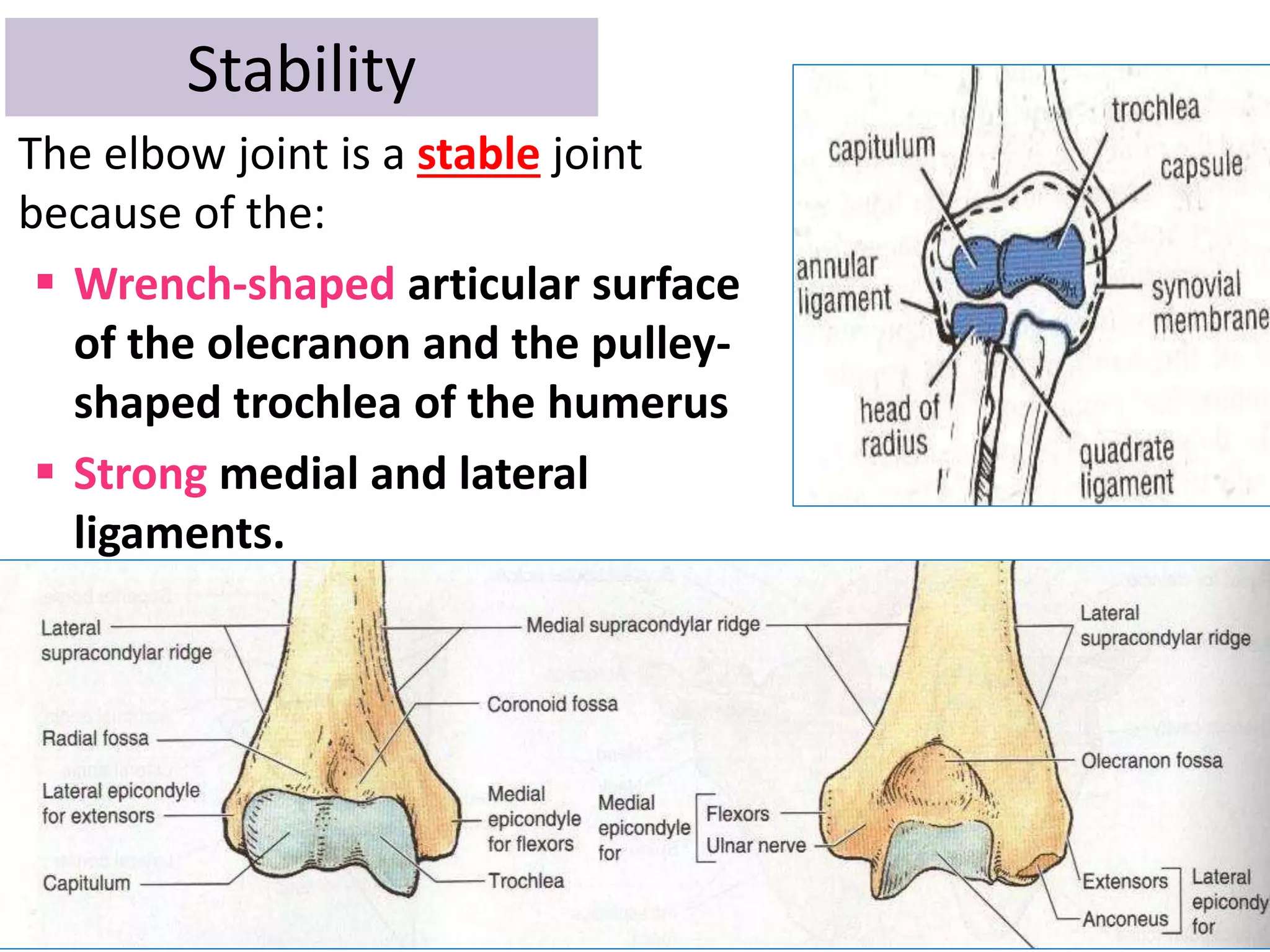 elbow join & lymphatics of upper limbt.pptx