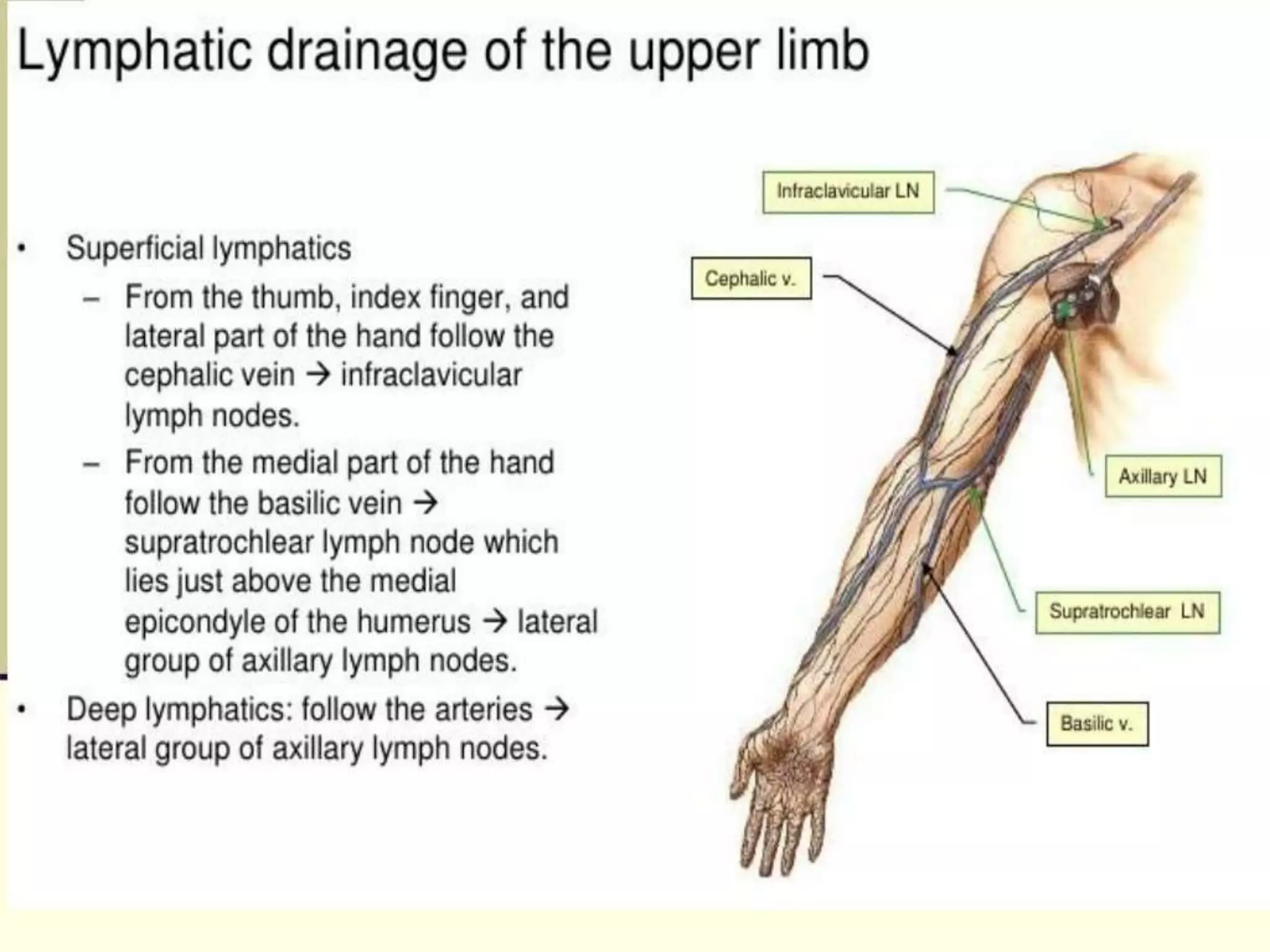 elbow join & lymphatics of upper limbt.pptx