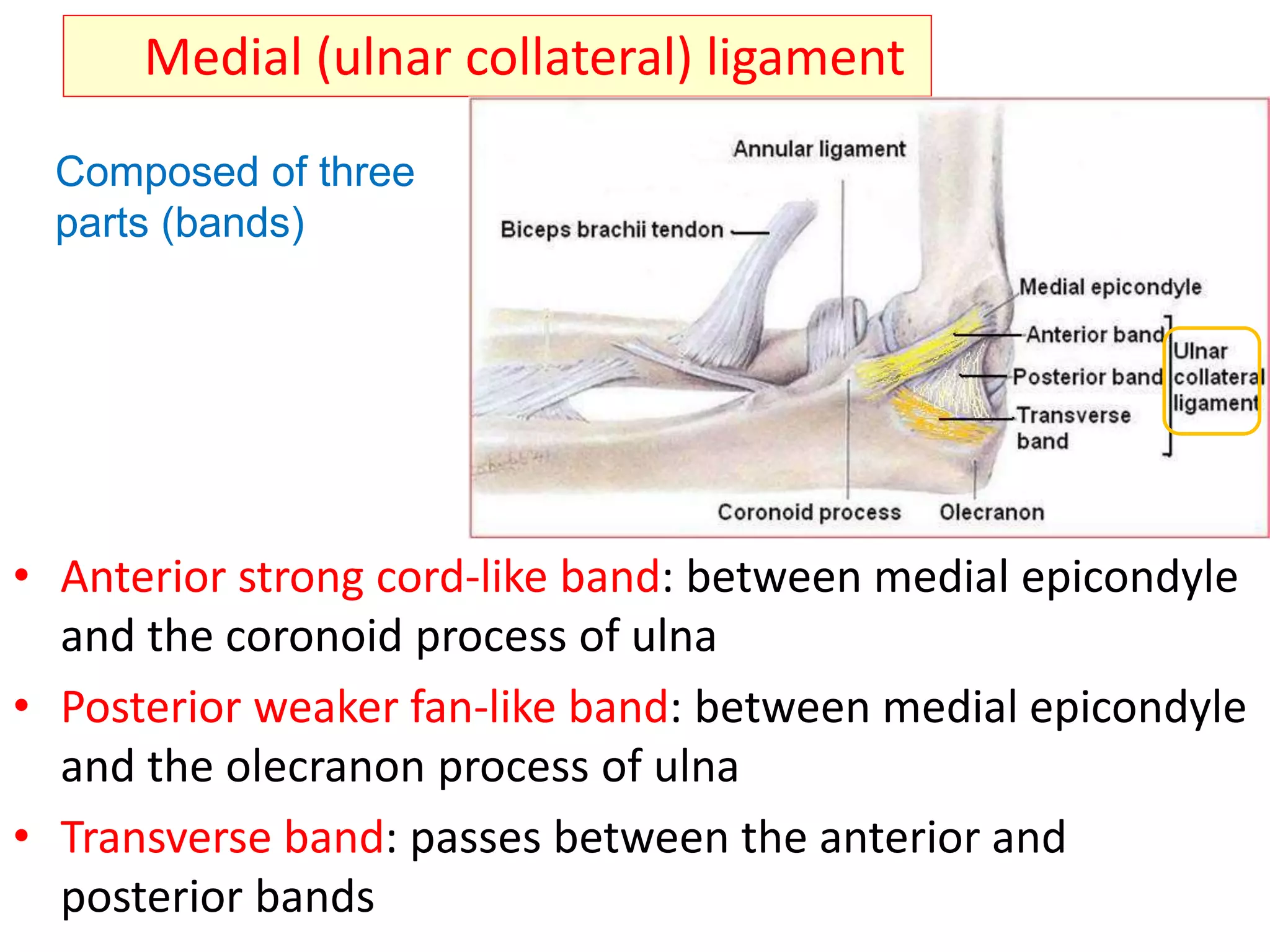 elbow join & lymphatics of upper limbt.pptx