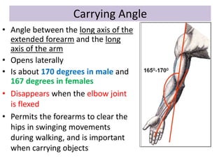 elbow join & lymphatics of upper limbt.pptx