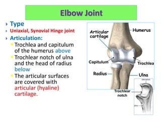 elbow join & lymphatics of upper limbt.pptx