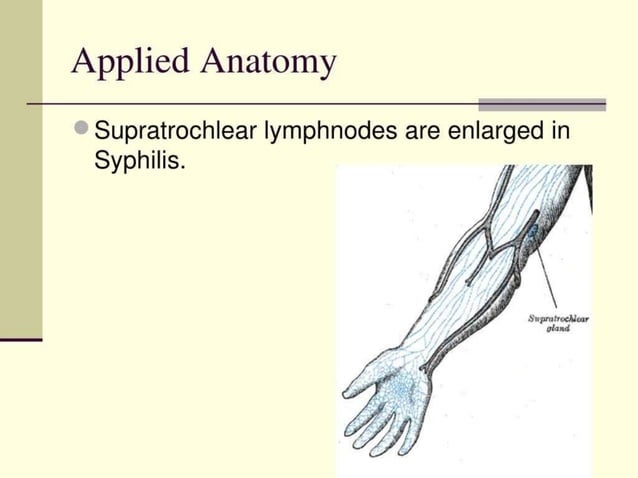 elbow join & lymphatics of upper limbt.pptx