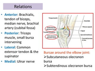 elbow join & lymphatics of upper limbt.pptx