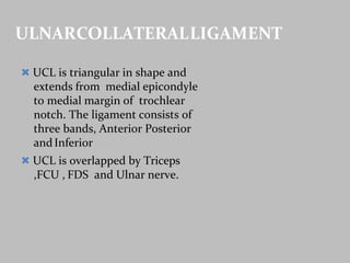 Elbow joint with applied anatomy | PPTX