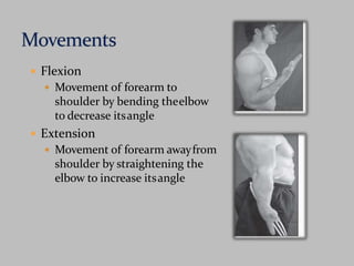 Elbow joint with applied anatomy | PPTX