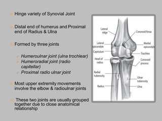 Elbow joint with applied anatomy | PPTX