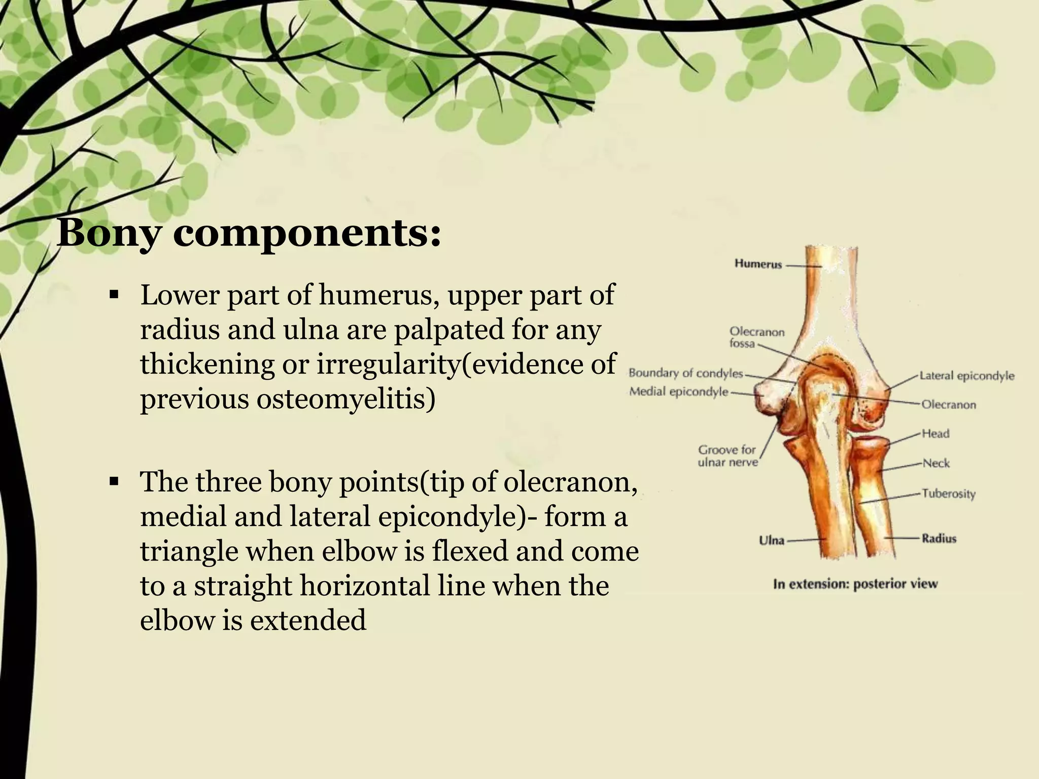 Elbow joint | PPTX