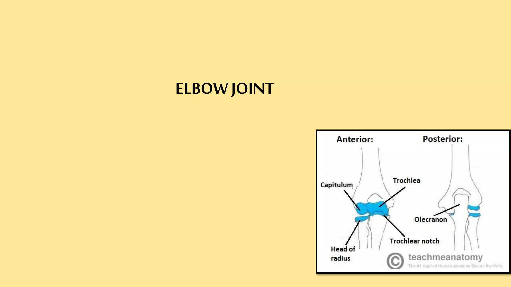 Elbow joint anatomy | PPTX