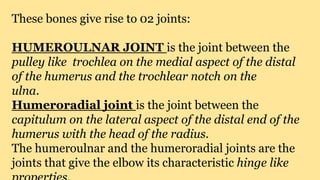 Elbow joint anatomy | PPTX