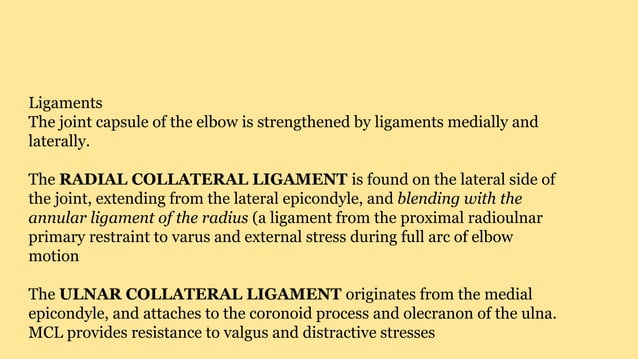 Elbow Joint Anatomy Ppt
