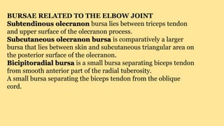 Elbow joint anatomy | PPTX