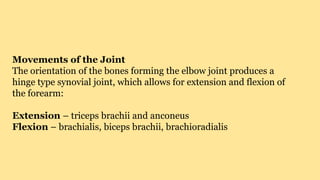 Elbow joint anatomy | PPTX | Death, Injury, or Military Conflict ...