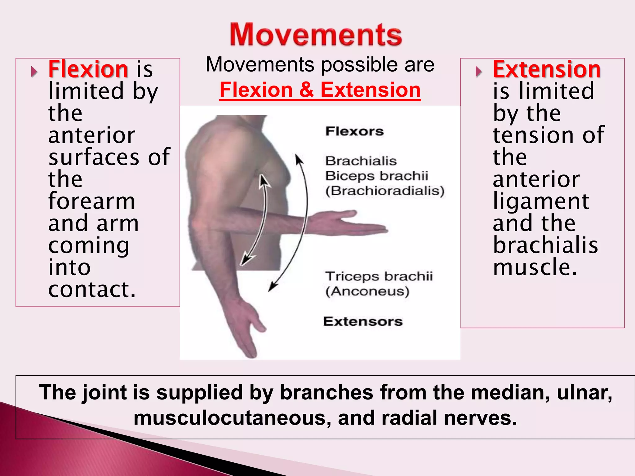 elbow joint .ppt