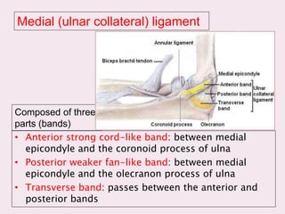 elbow joint .ppt